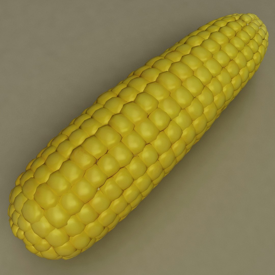 3d Corn V3 Model