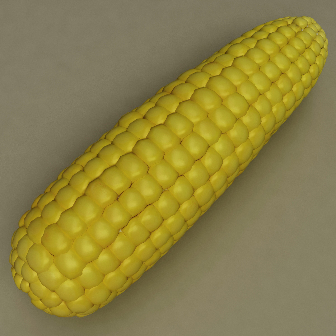 3d corn v3 model