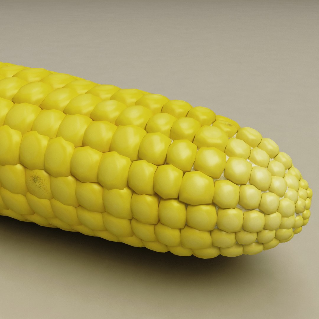 3d Corn V3 Model