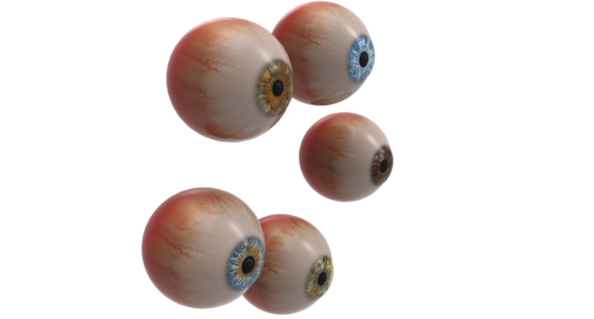 3D Eye Ball Model - TurboSquid 1579828