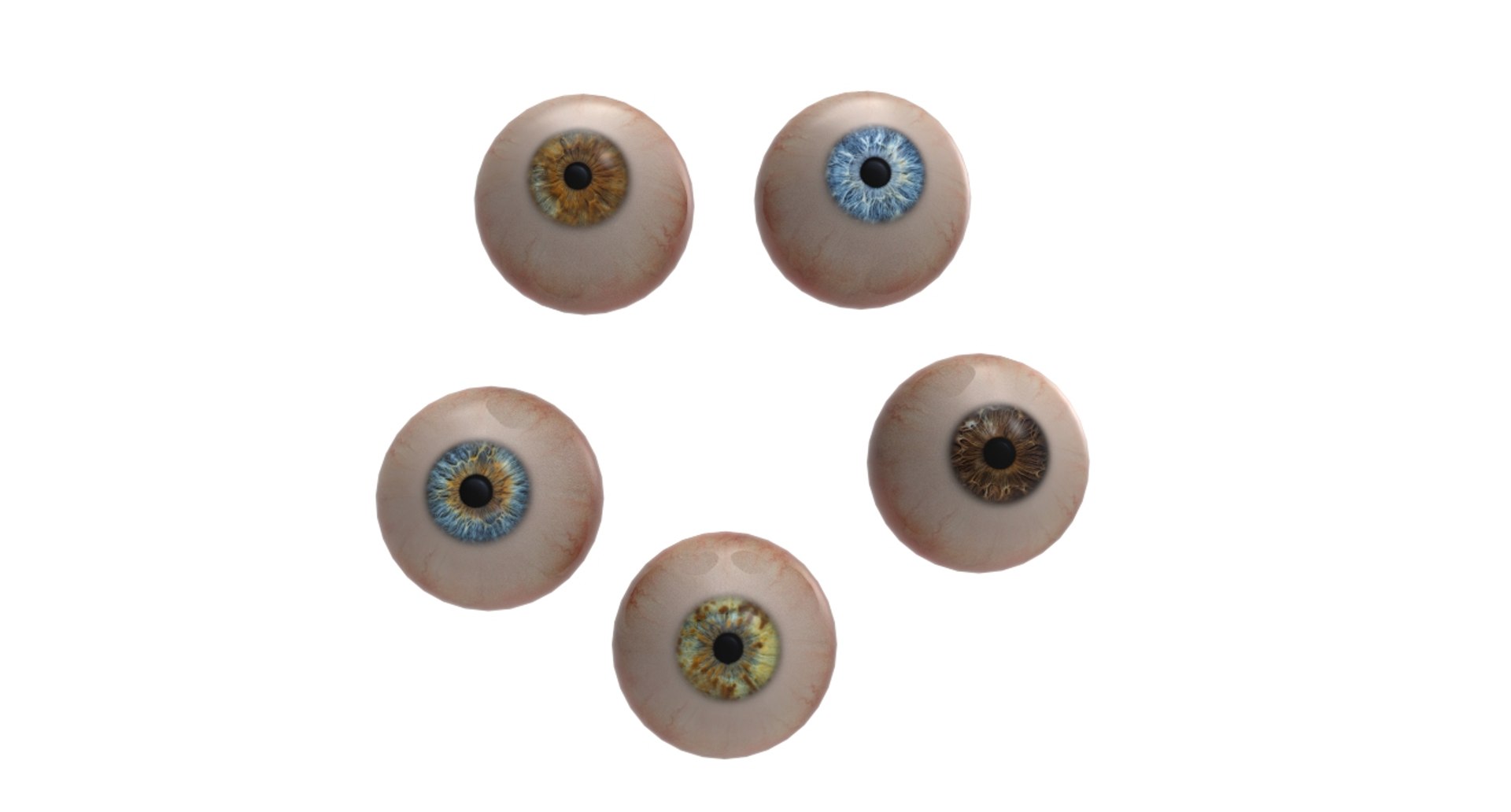 3D Eye Ball Model - TurboSquid 1579828