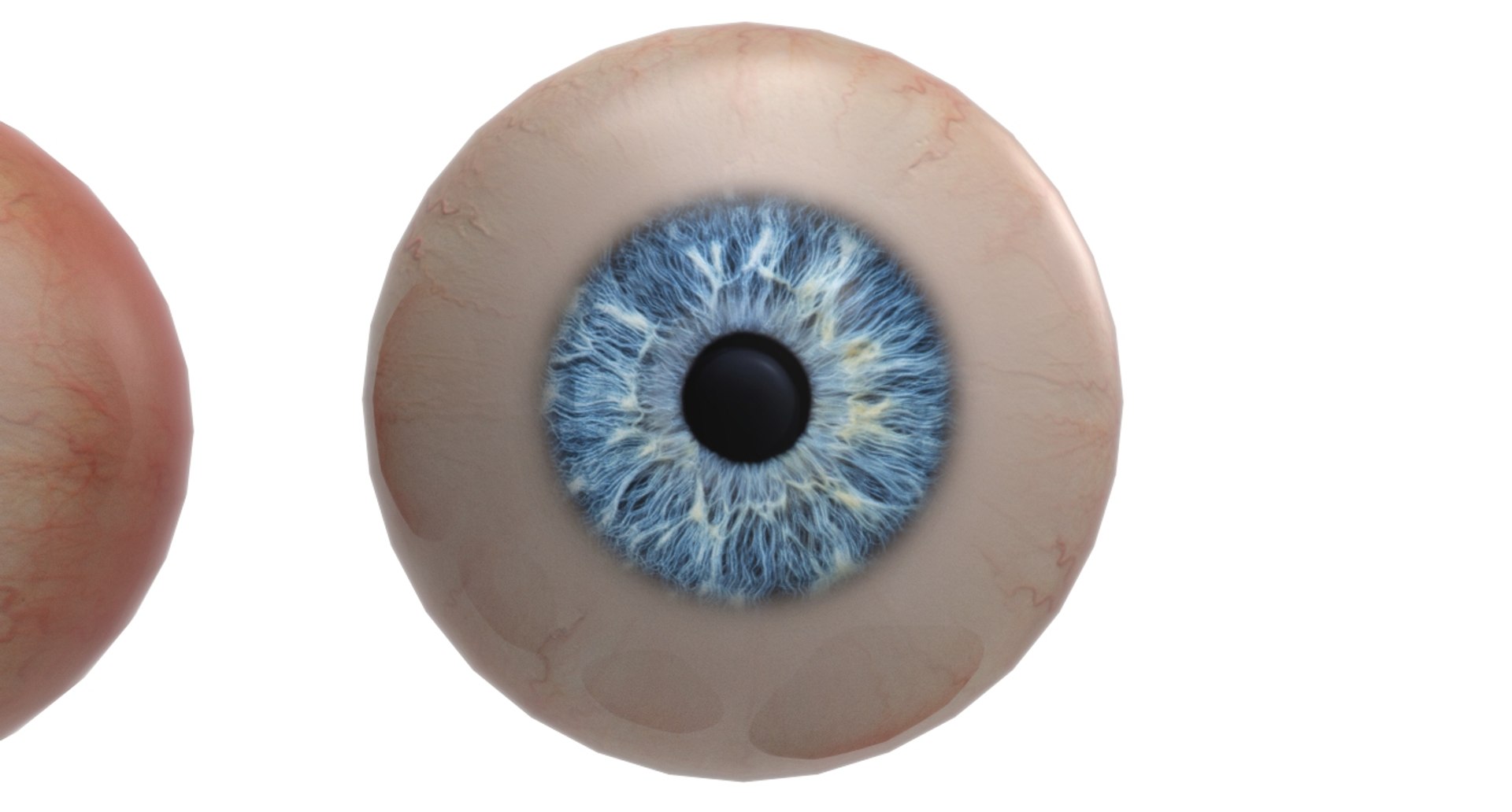 3D Eye Ball Model - TurboSquid 1579828