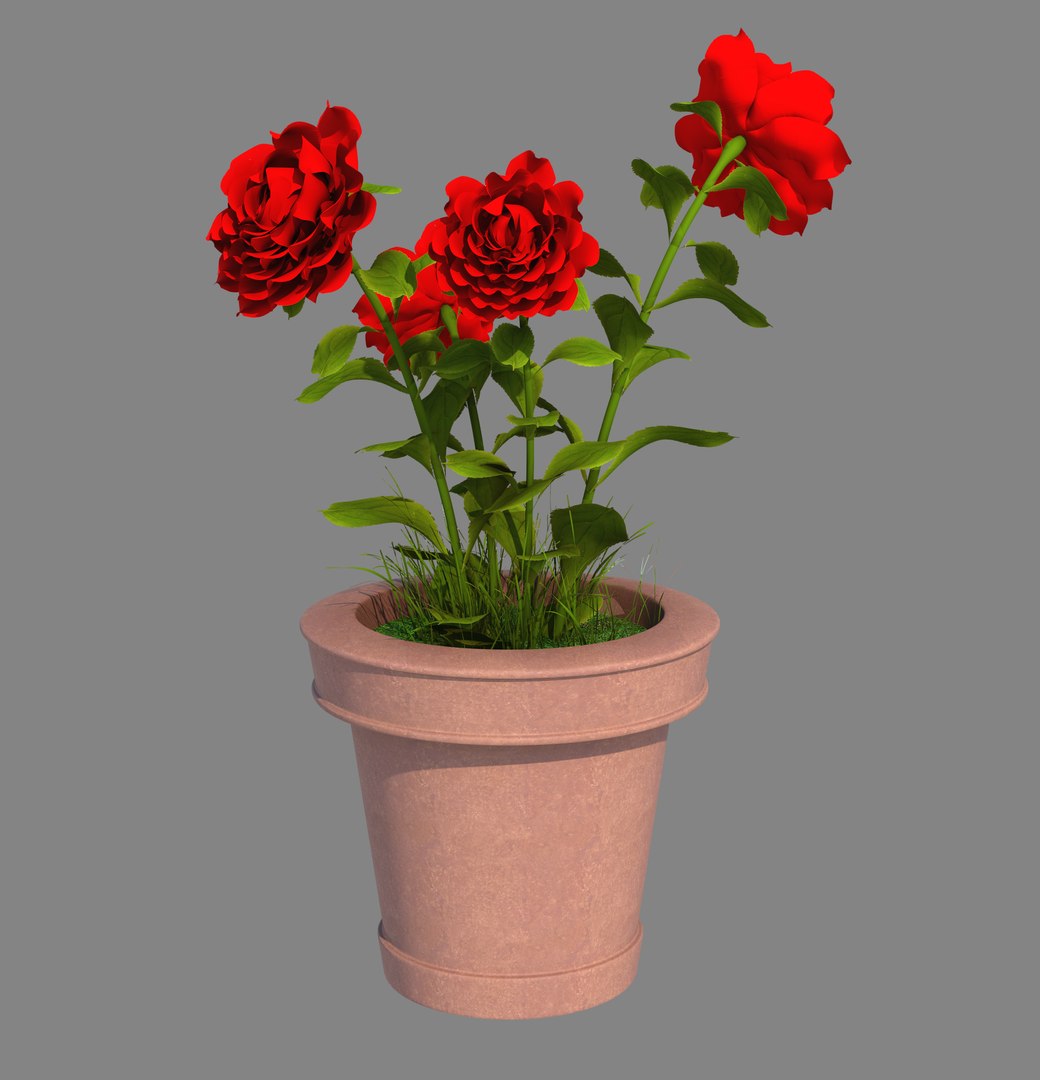Flower Pot Model - TurboSquid 1324870
