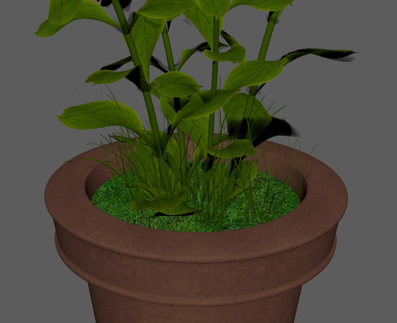 Flower Pot Model - TurboSquid 1324870