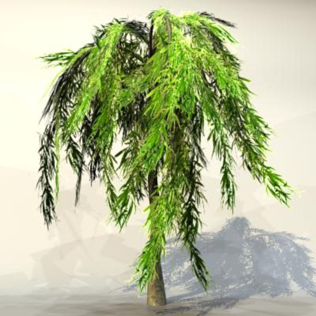 Max Tree Pc Ps3
