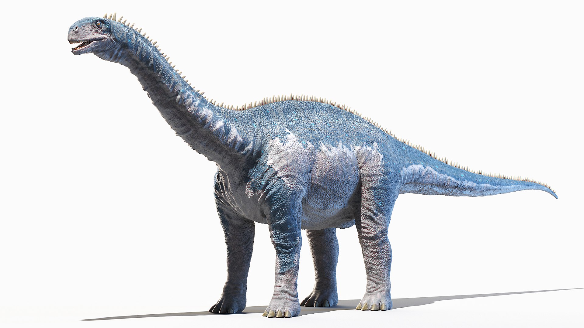 Isanosaurus Animated 3D model - TurboSquid 1739785
