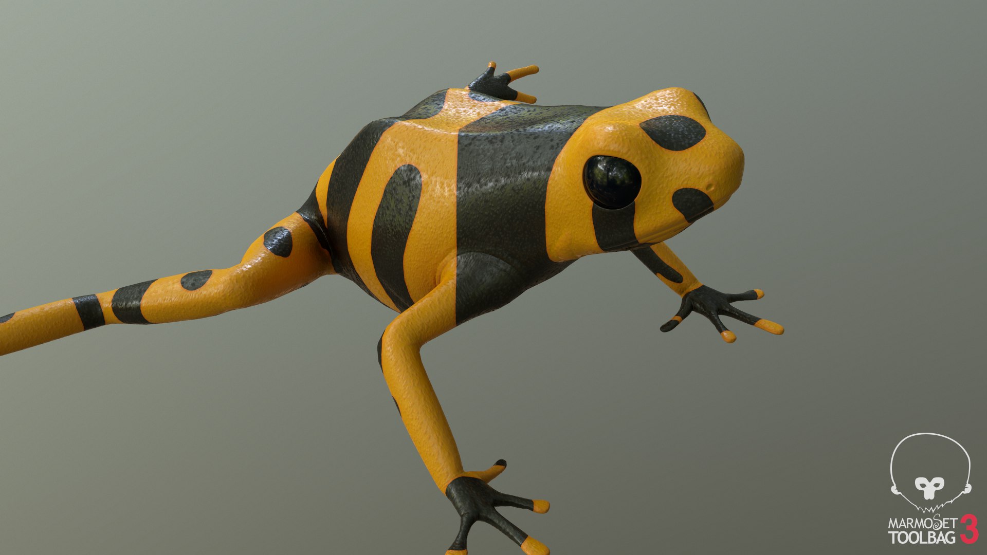 3D poison dart frog - TurboSquid 1379377