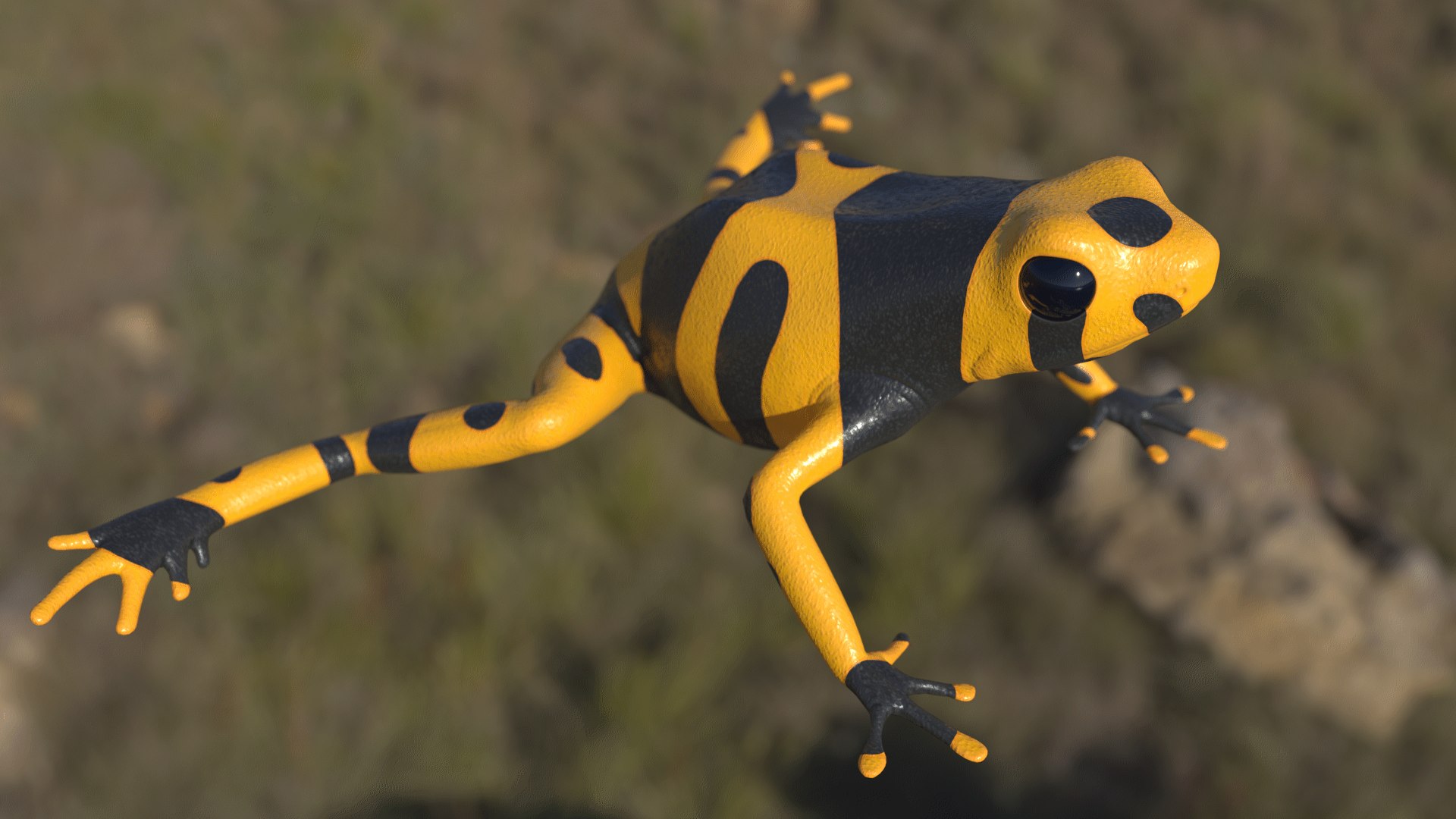 3D poison dart frog - TurboSquid 1379377