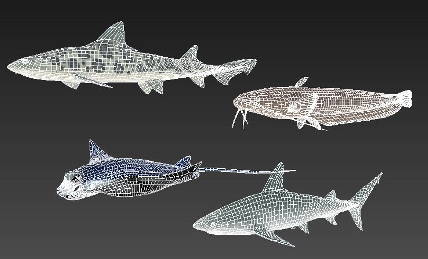 Fish 06 3D - TurboSquid 1379757