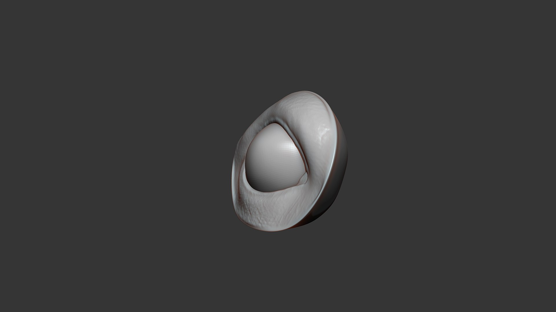 Rat Eye Socket Highpoly Sculpt Model - TurboSquid 1809917