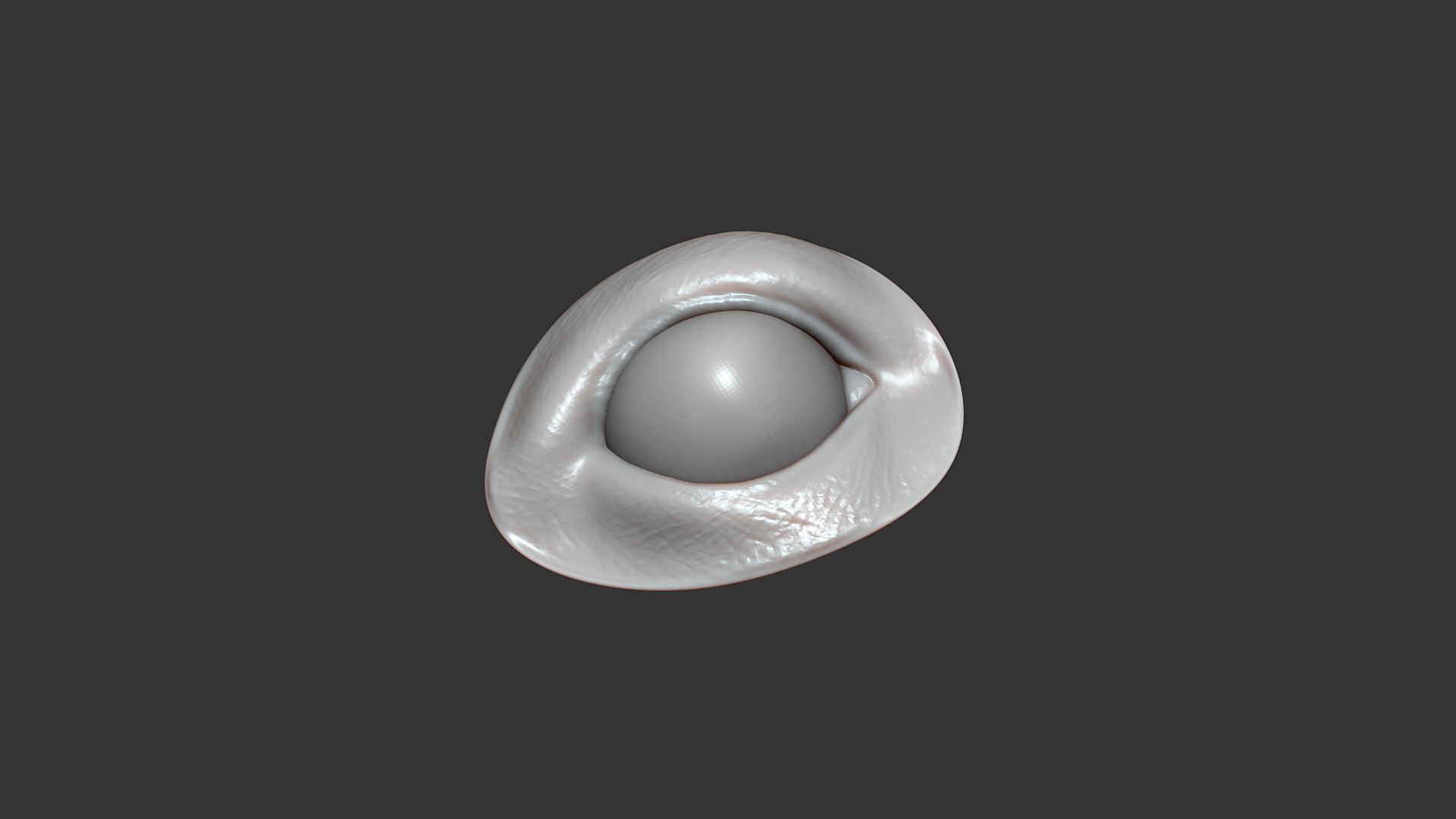 Rat Eye Socket Highpoly Sculpt Model - TurboSquid 1809917