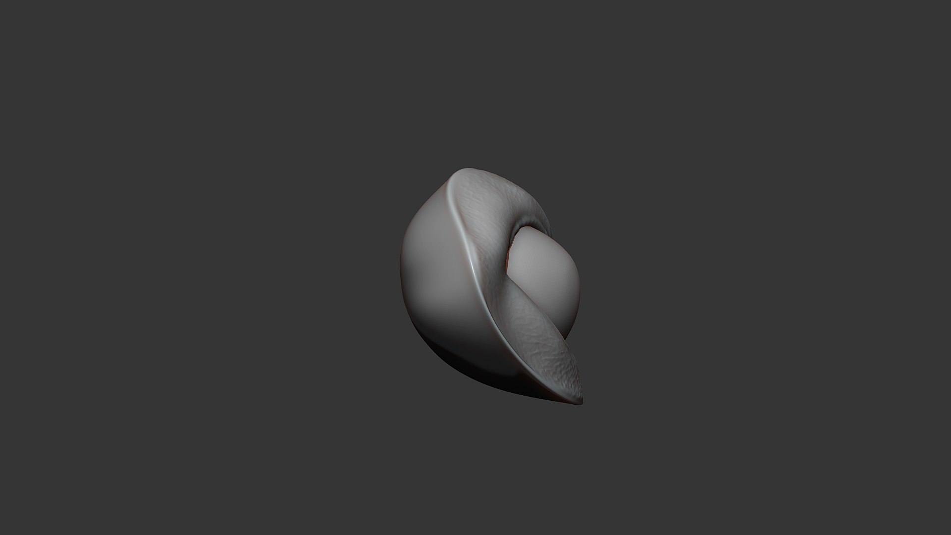Rat Eye Socket Highpoly Sculpt Model - TurboSquid 1809917