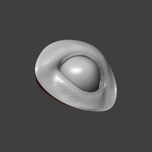 Rat Eye Socket Highpoly Sculpt model - TurboSquid 1809917