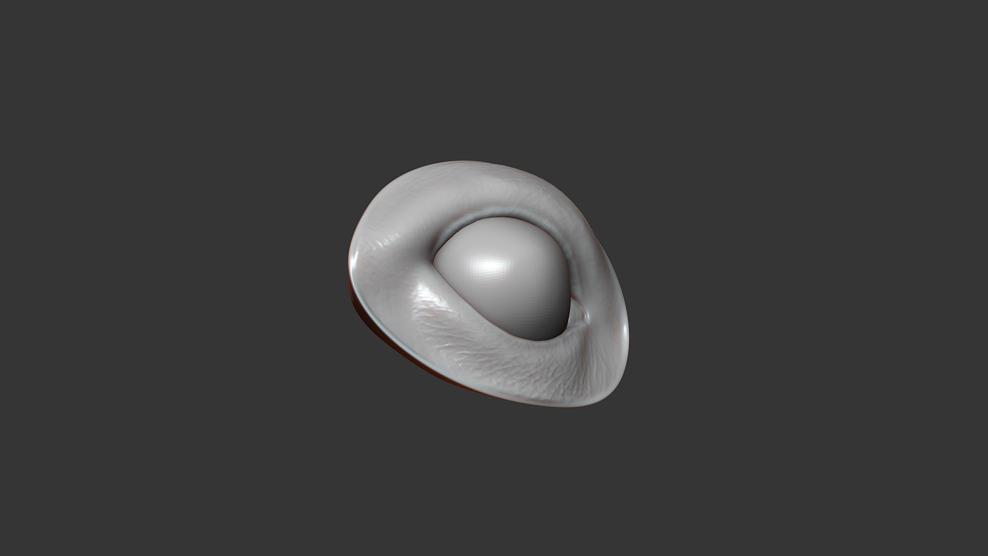 Rat Eye Socket Highpoly Sculpt Model - TurboSquid 1809917