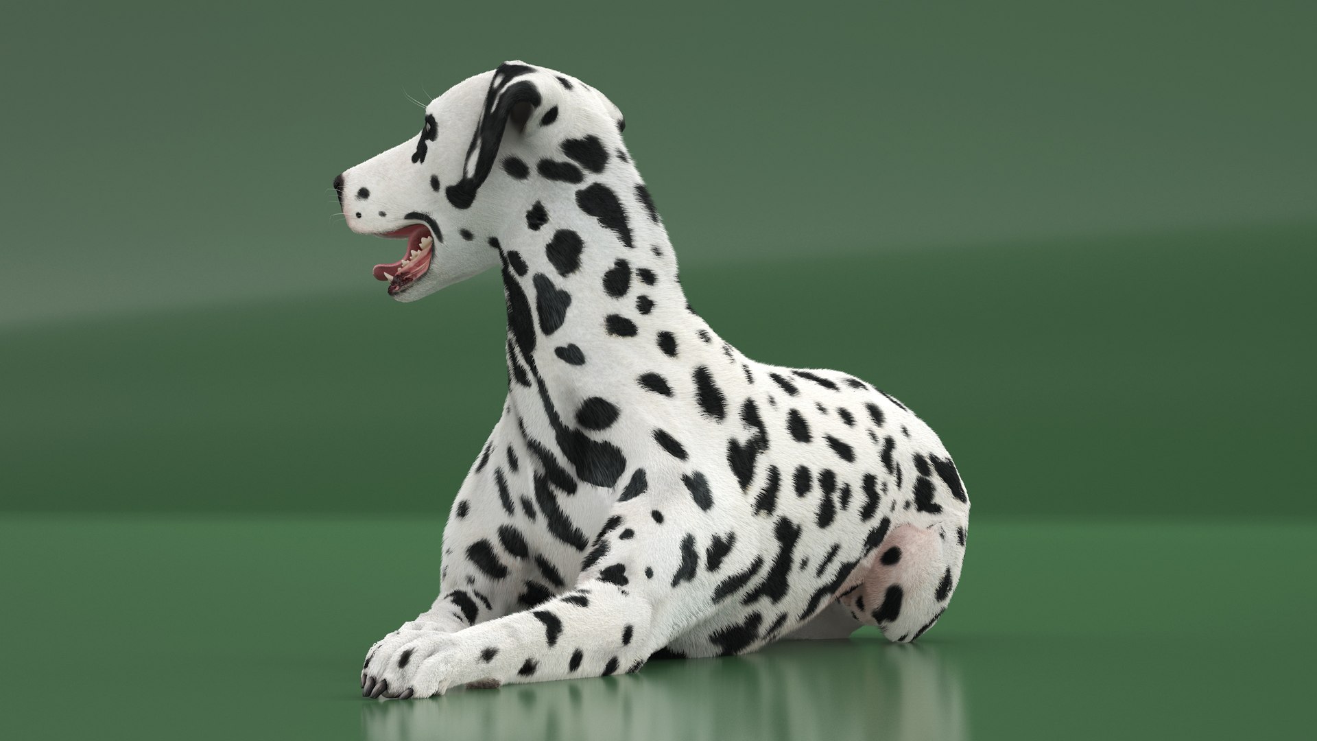 3D Spotted Lying Dalmatian Dog Fur Model - TurboSquid 2234989