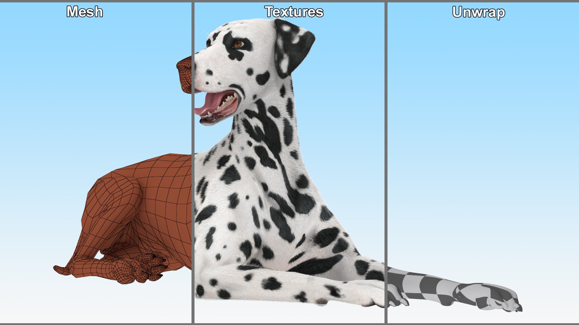 3D Spotted Lying Dalmatian Dog Fur Model - TurboSquid 2234989