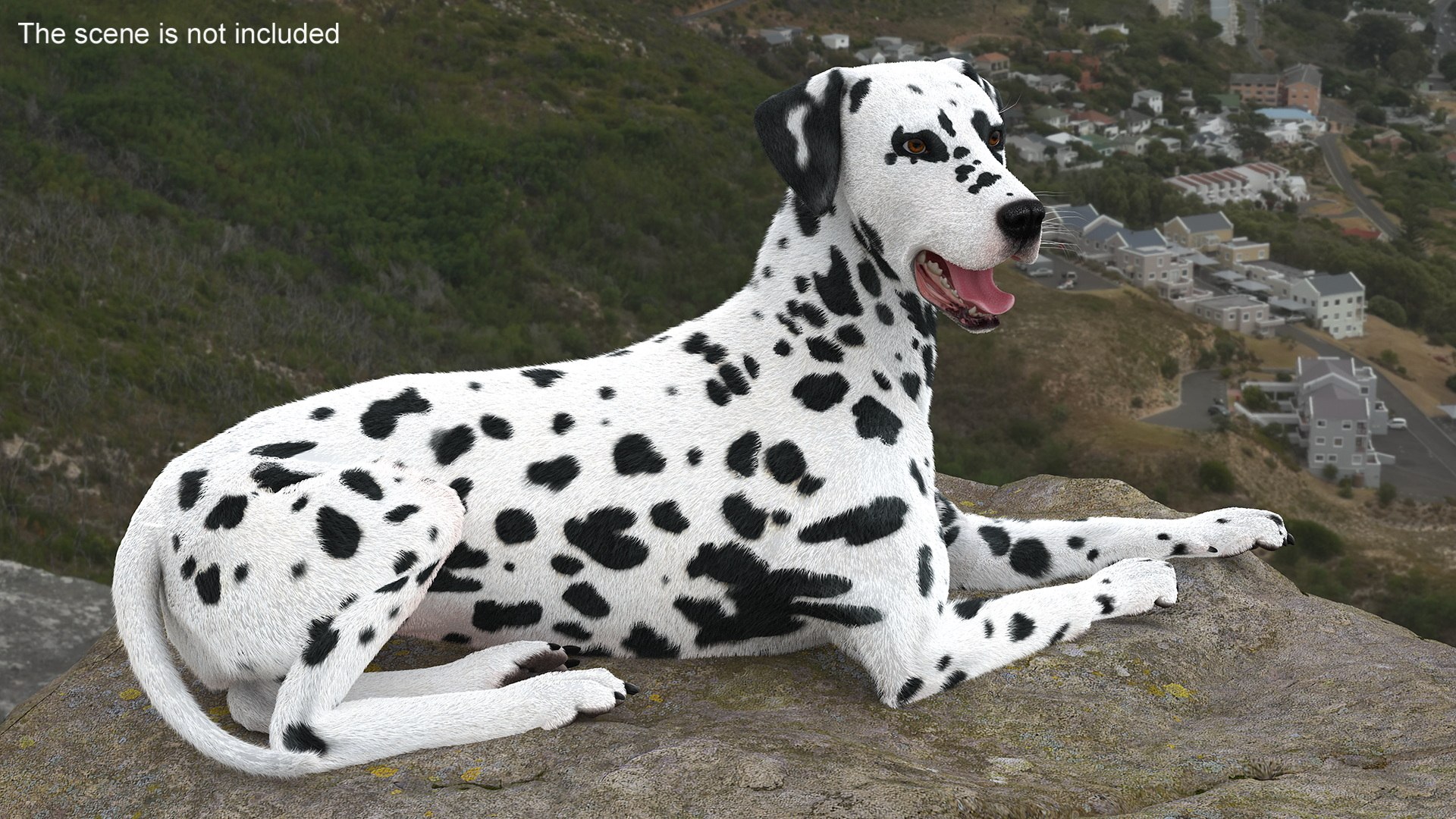 3D Spotted Lying Dalmatian Dog Fur Model - TurboSquid 2234989