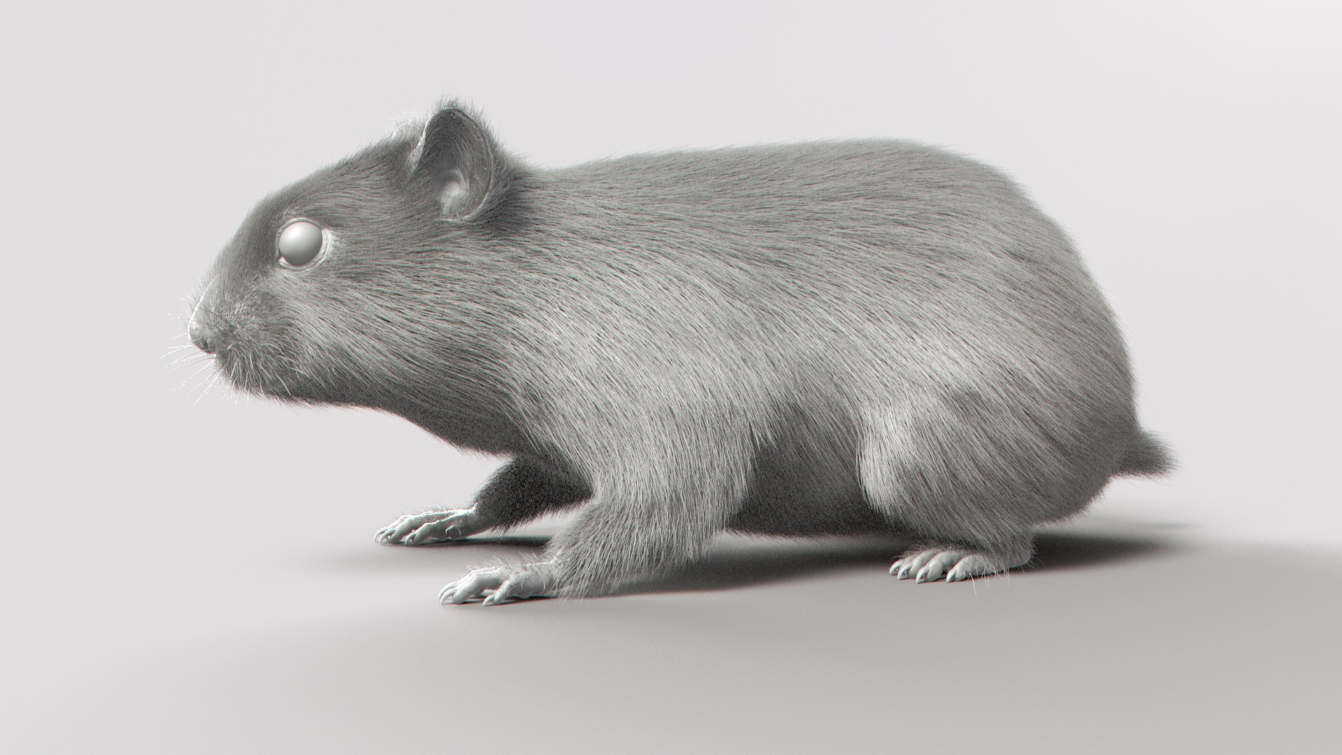 3D Hamster Hair Fur - TurboSquid 1660710