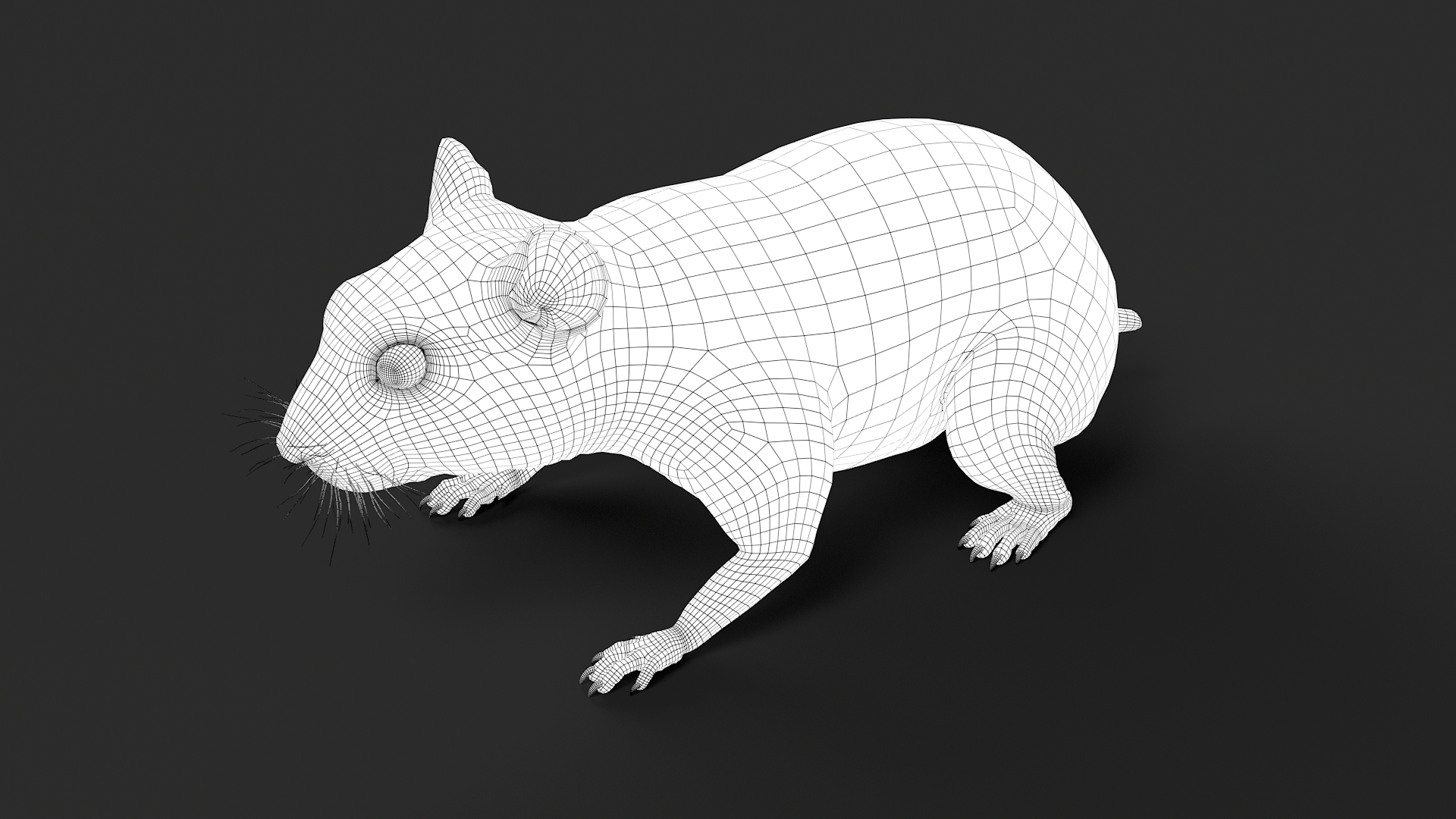 3D hamster hair fur - TurboSquid 1660710
