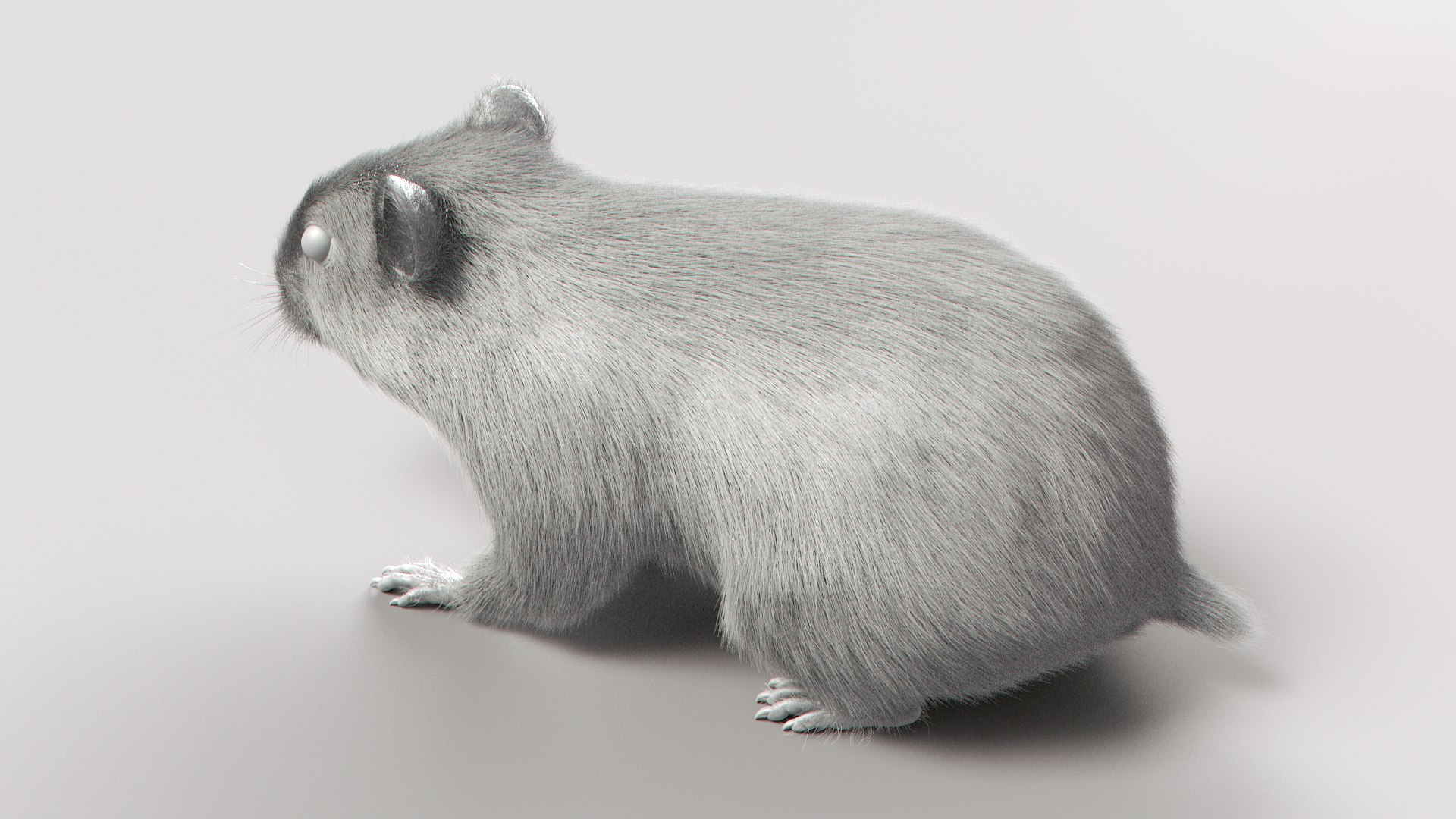 3D hamster hair fur - TurboSquid 1660710