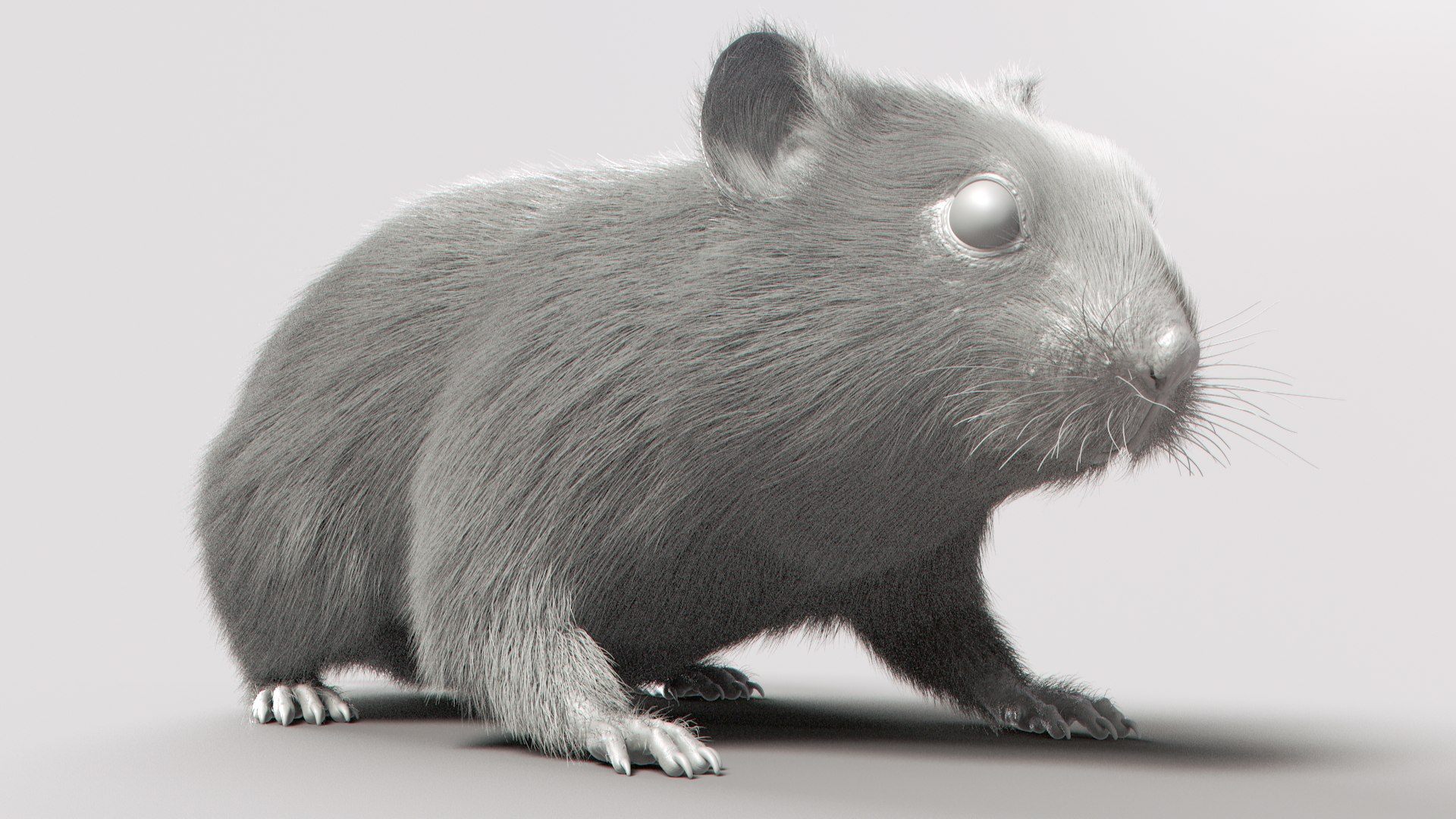 3D hamster hair fur - TurboSquid 1660710