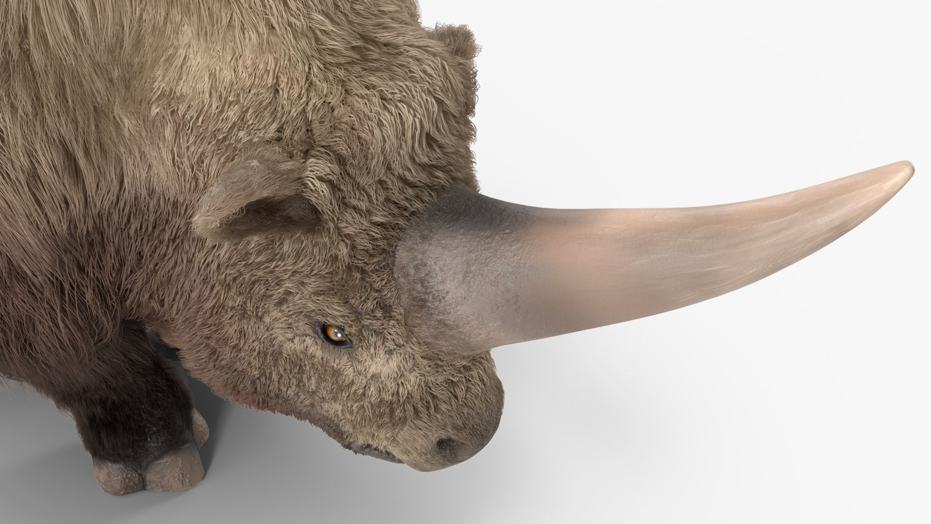 3D Elasmatherium Standing Pose Fur - TurboSquid 1974448