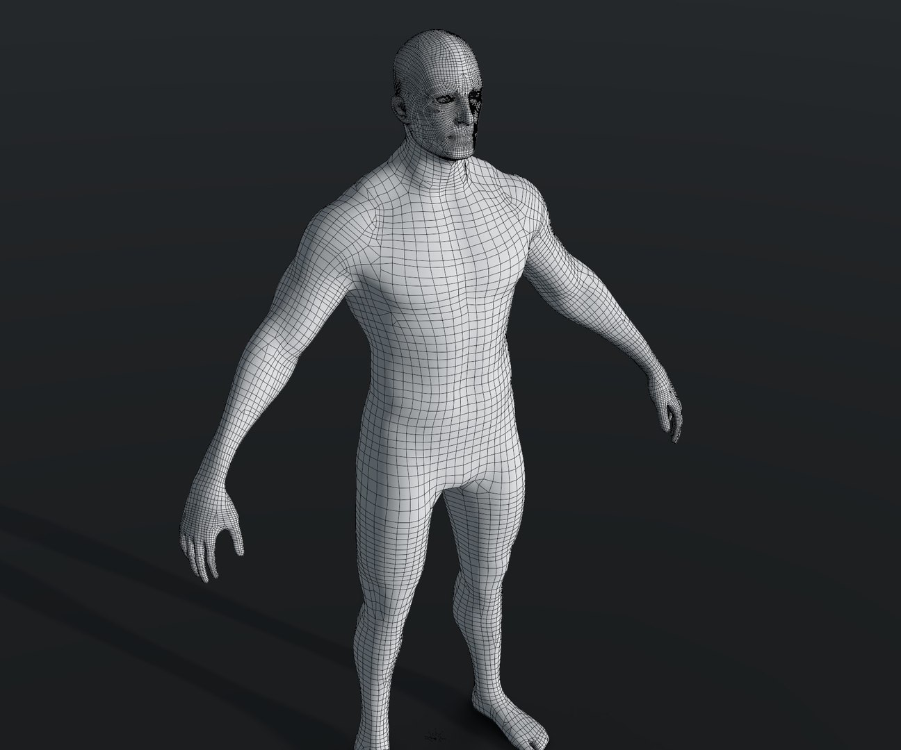 3D Male Body Base Mesh 28 Animations 3D Model 20k Polygons - TurboSquid 1951270