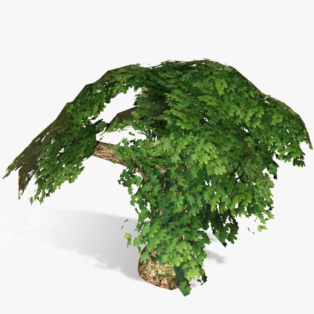 Games Tree 3D Model - TurboSquid 1233401