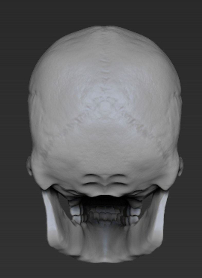 human skull obj