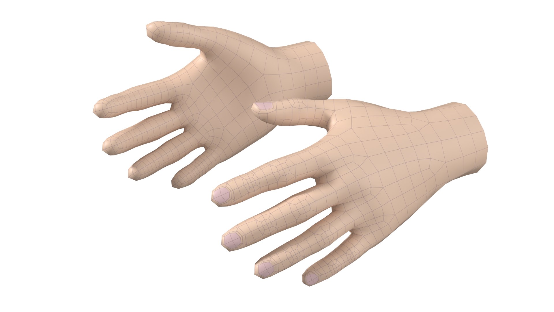 3D Female Hand Base Mesh 05 - TurboSquid 2182877