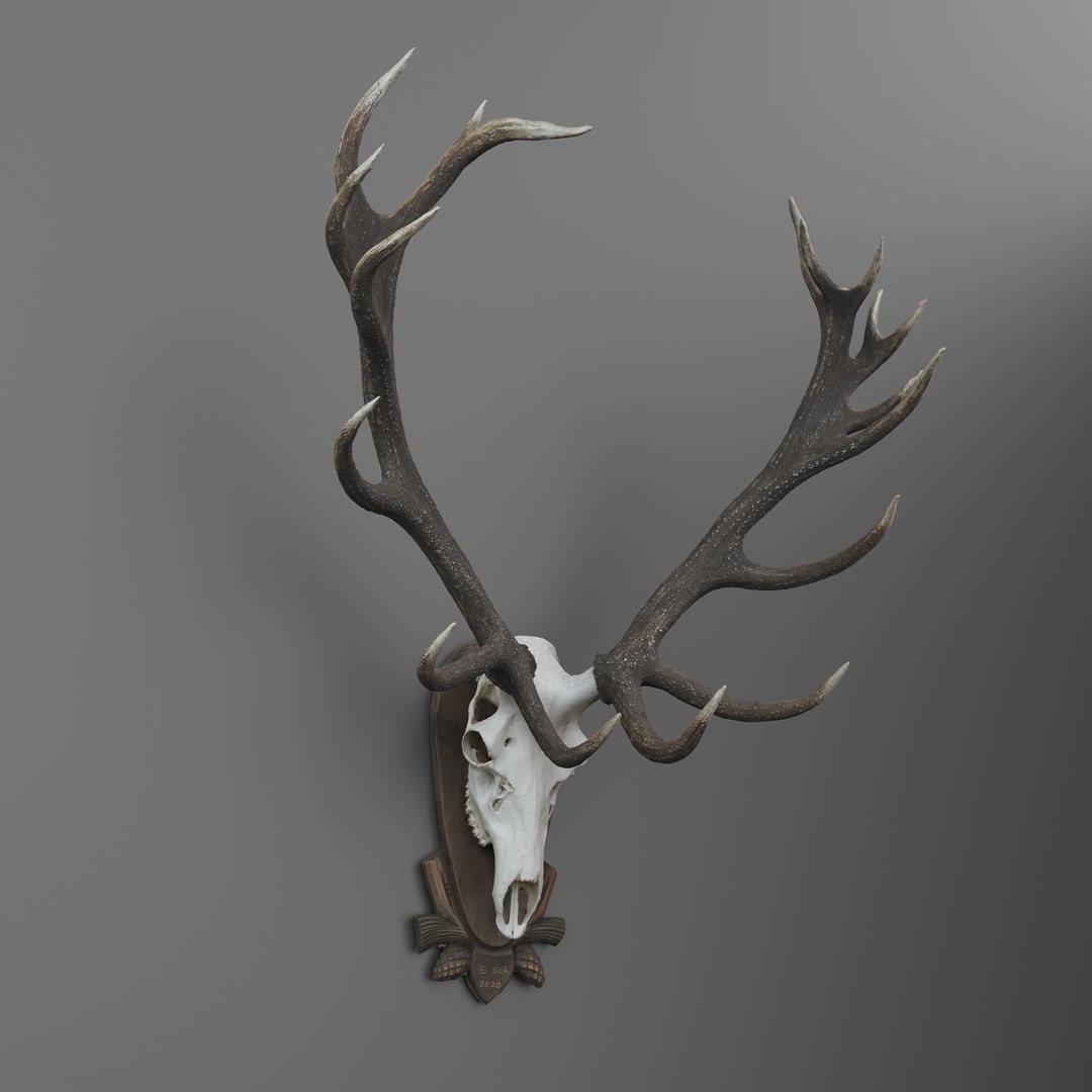 Antler Red Deer 3D Model - TurboSquid 2037098