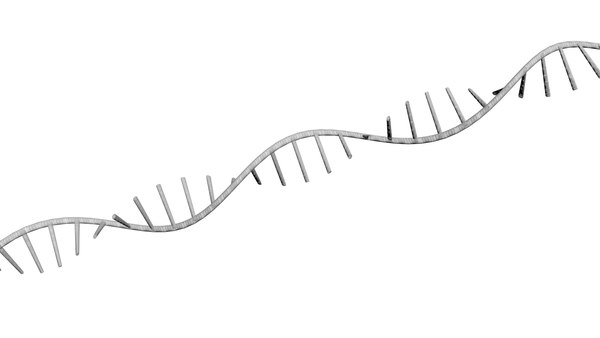3D RNA Helix model - TurboSquid 1857387