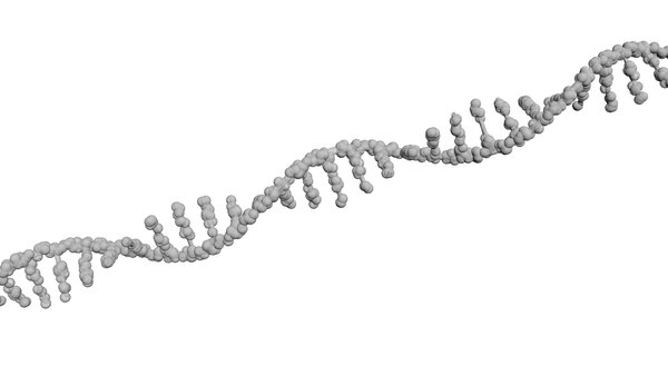 3D RNA Helix model - TurboSquid 1857387