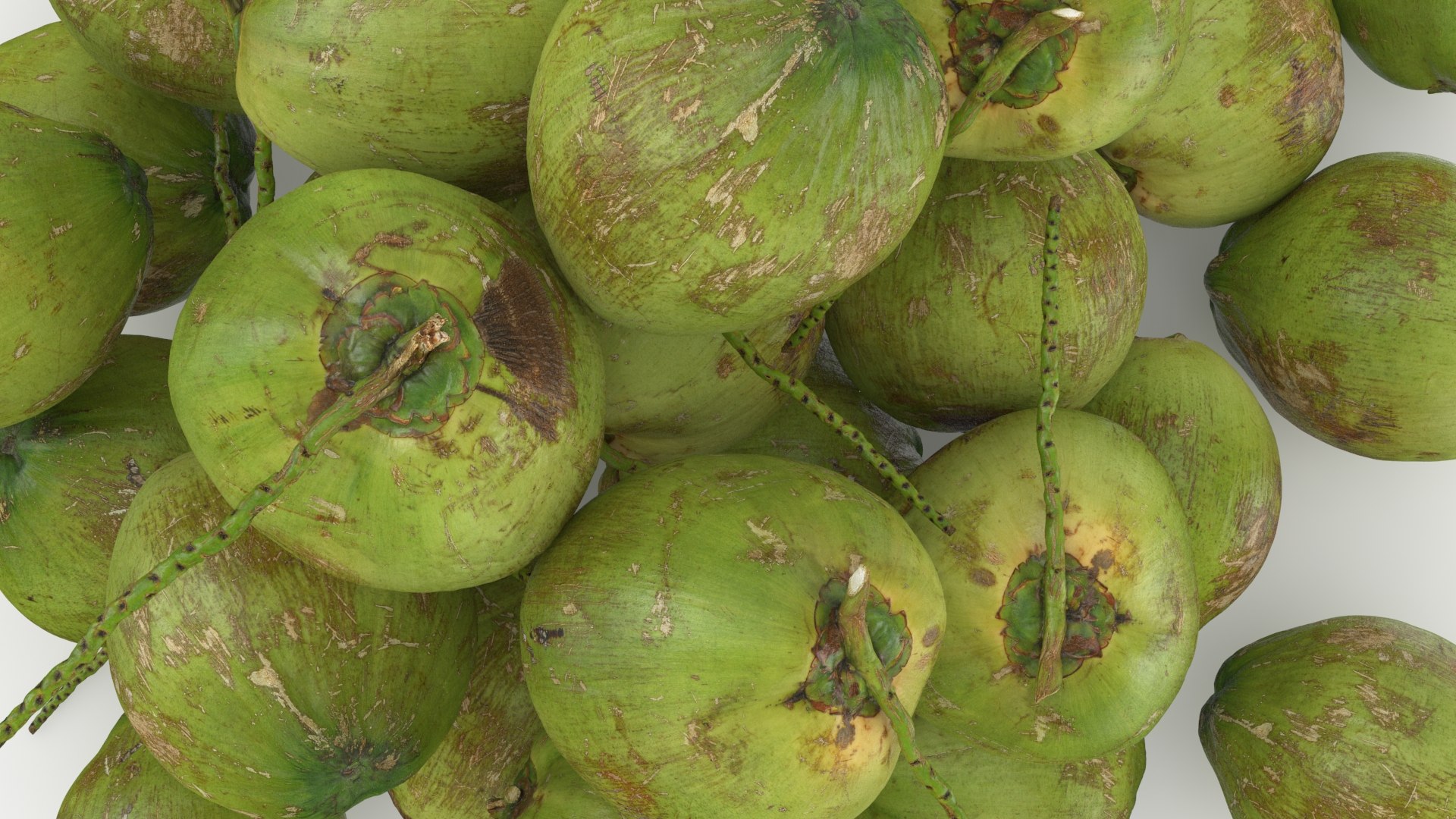 3D Pile Of Young Green Coconut - TurboSquid 2319517