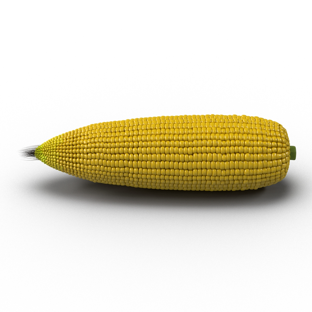3d model corn