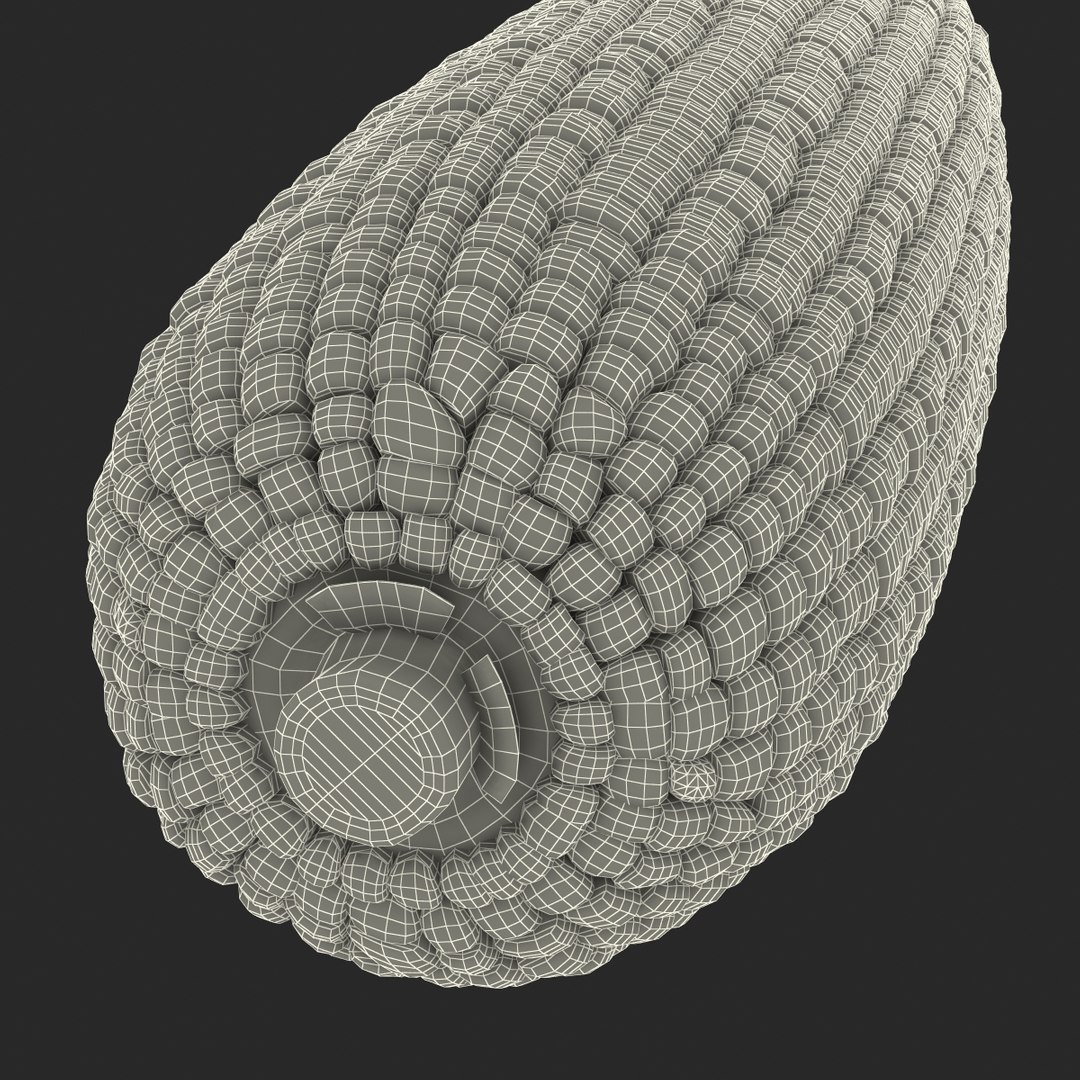 3d model corn