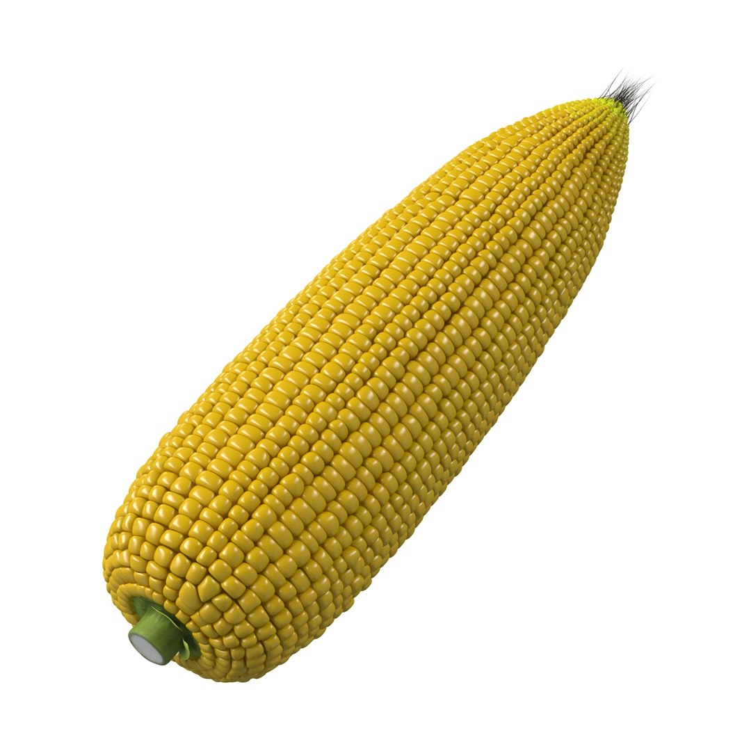 3d model corn