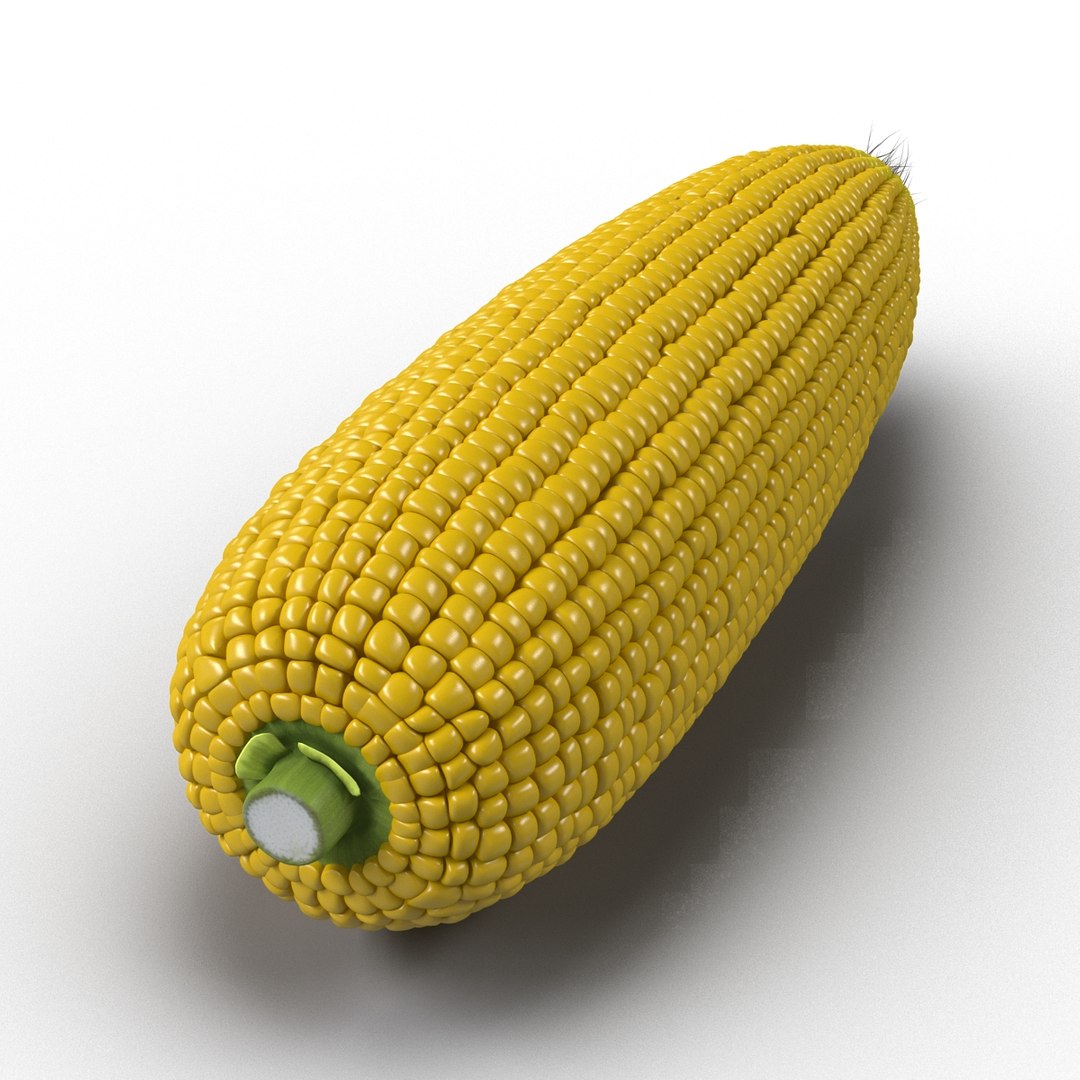 3d model corn