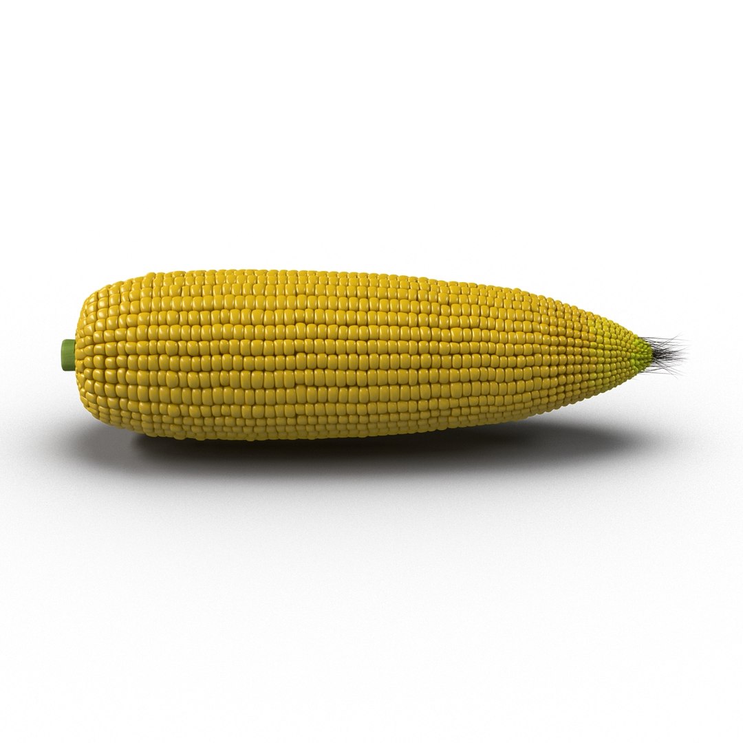 3d model corn