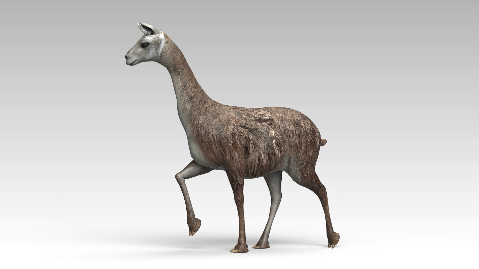 3D Llama Poser - TurboSquid 1741345