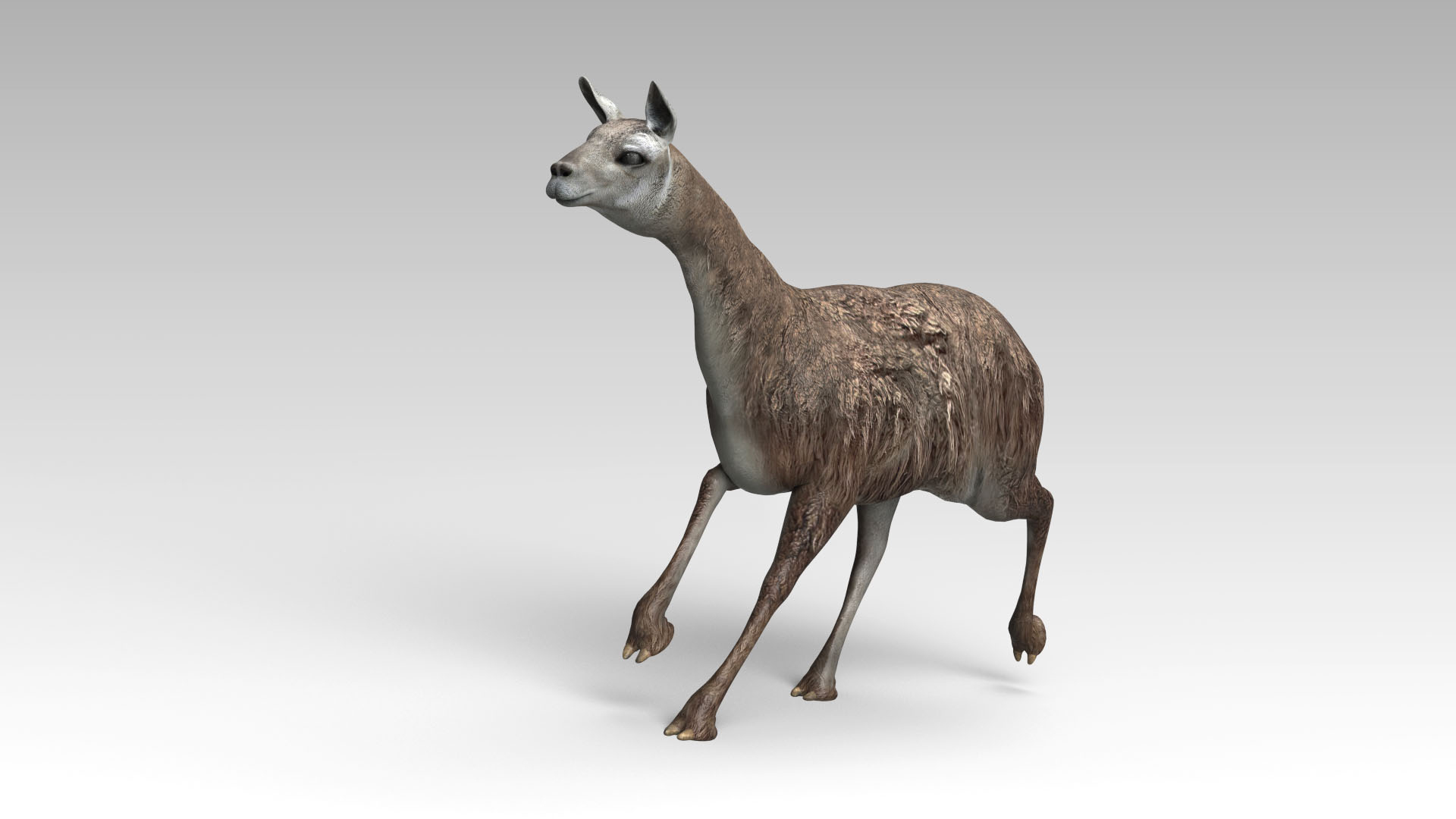 3D Llama Poser - TurboSquid 1741345