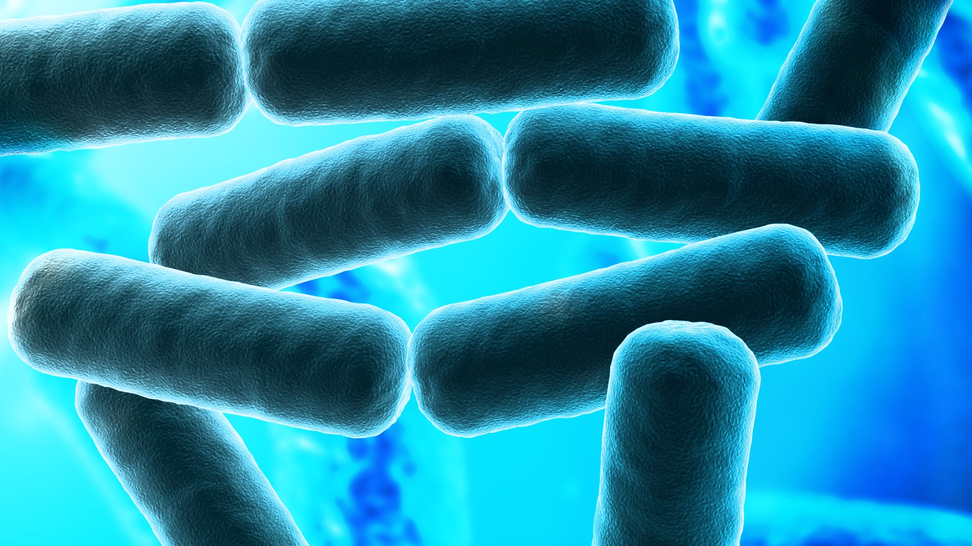 Bacteria Bacillus Germ 3D Model - TurboSquid 1677005