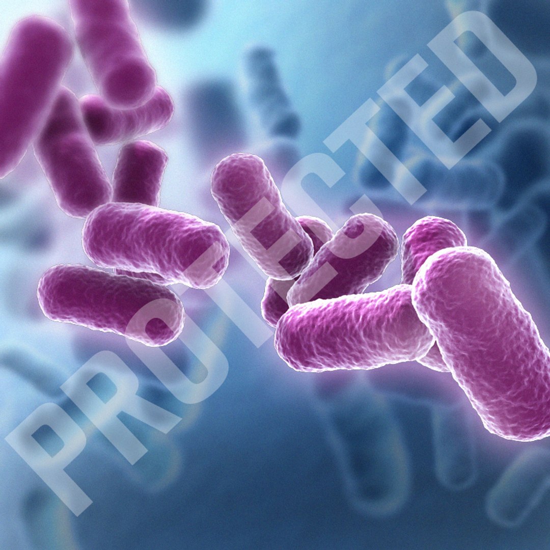 Bacteria Bacillus Germ 3D Model - TurboSquid 1677005