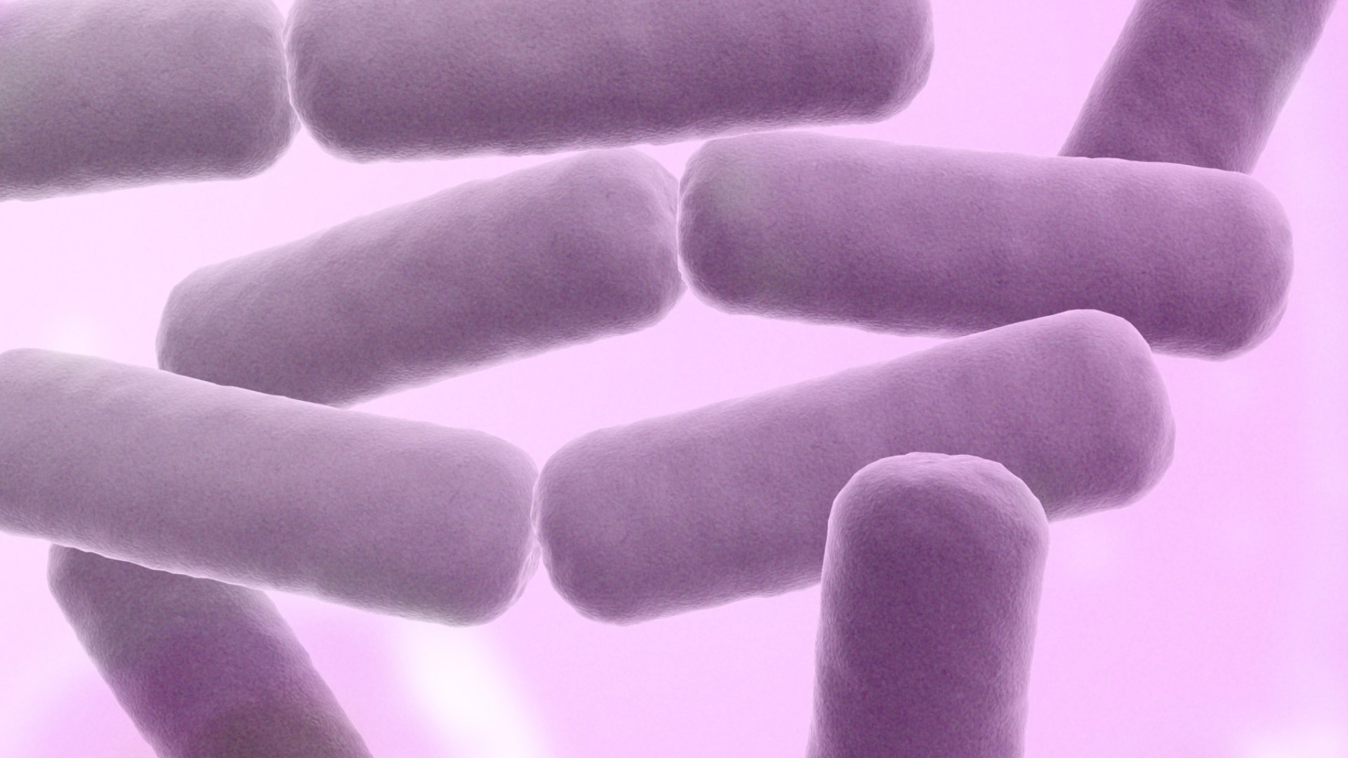 Bacteria Bacillus Germ 3D Model - TurboSquid 1677005