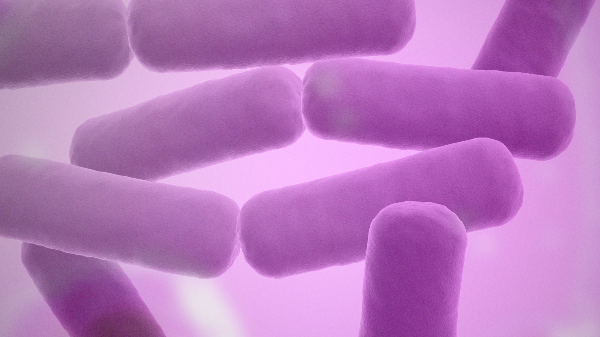 Bacteria Bacillus Germ 3D Model - TurboSquid 1677005