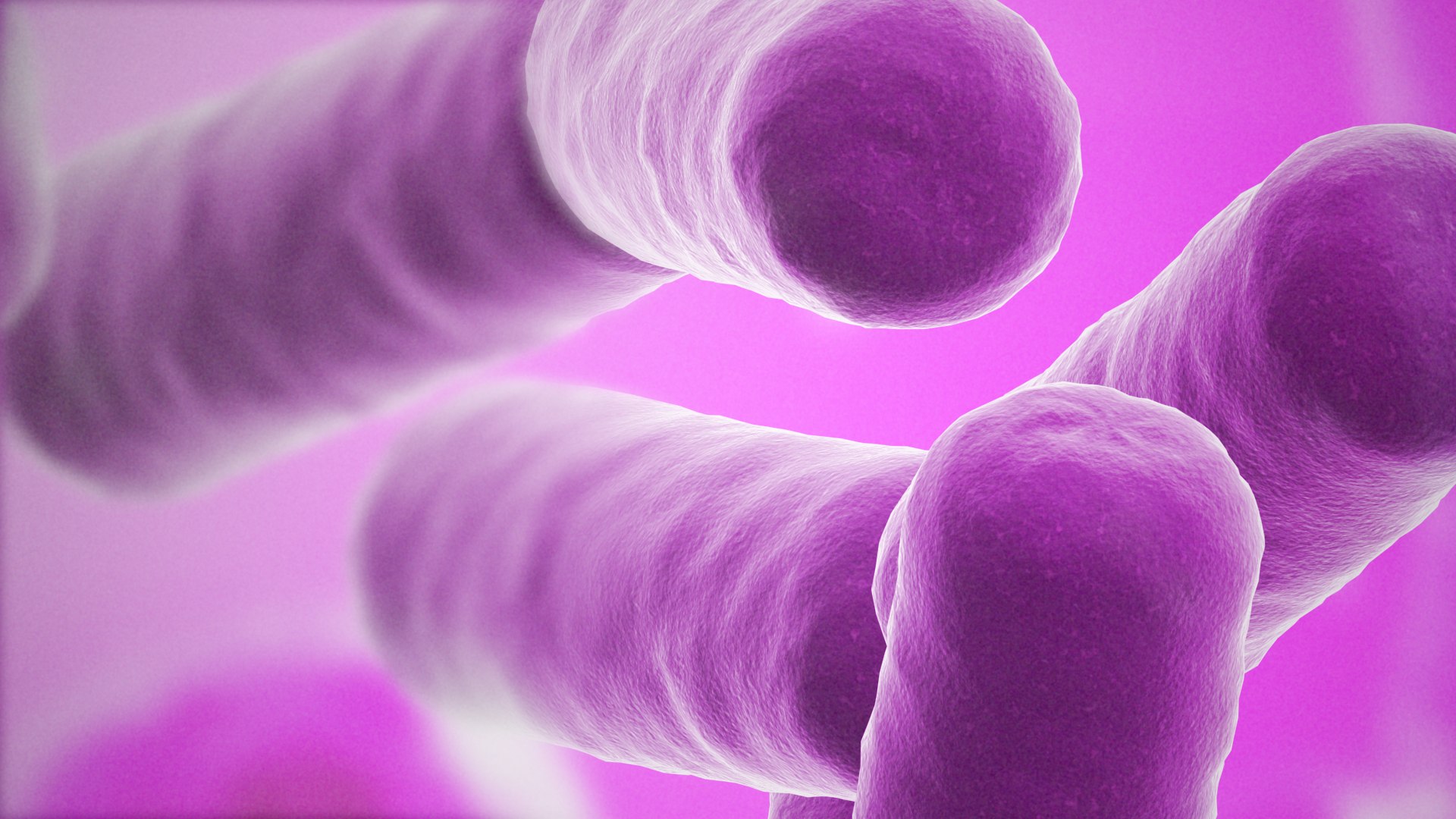 Bacteria Bacillus Germ 3D Model - TurboSquid 1677005