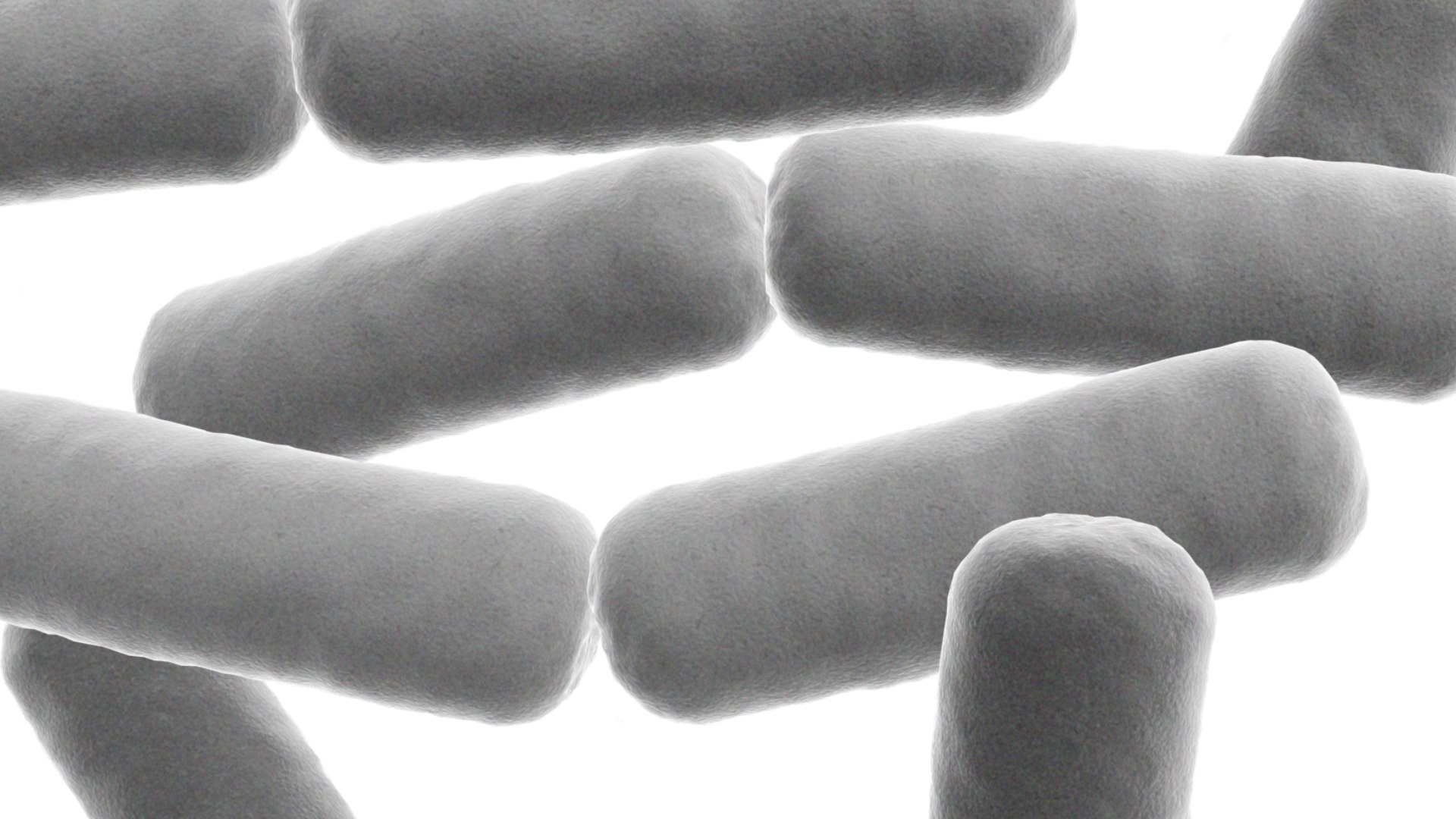 Bacteria Bacillus Germ 3D Model - TurboSquid 1677005