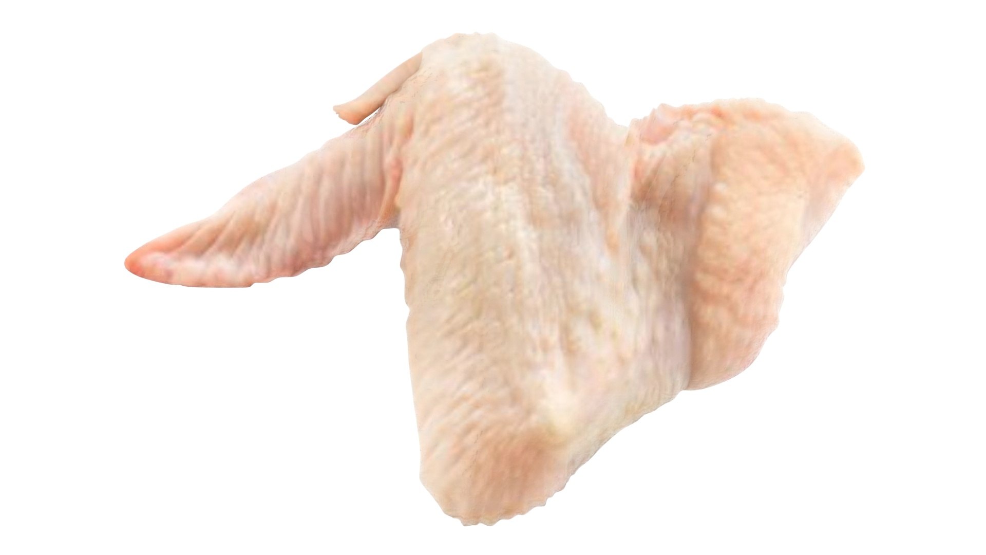 Chicken Wing 3D Model - TurboSquid 2249600