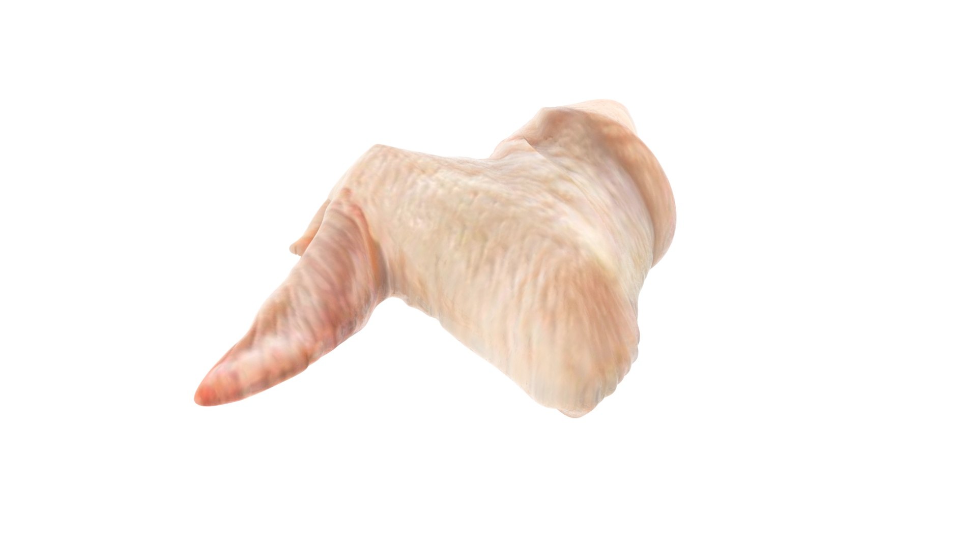 Chicken Wing 3D Model - TurboSquid 2249600