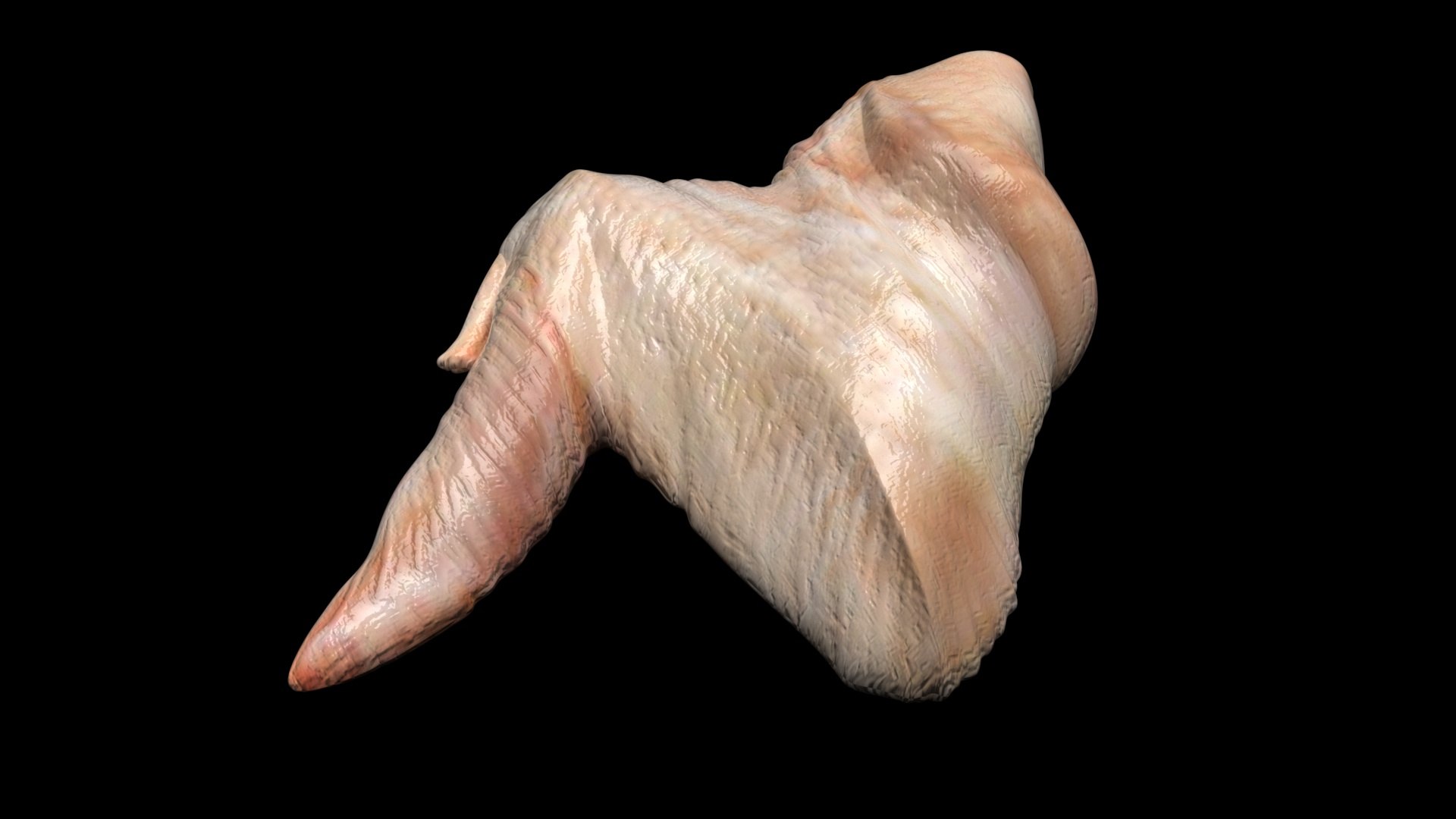 Chicken Wing 3D Model - TurboSquid 2249600